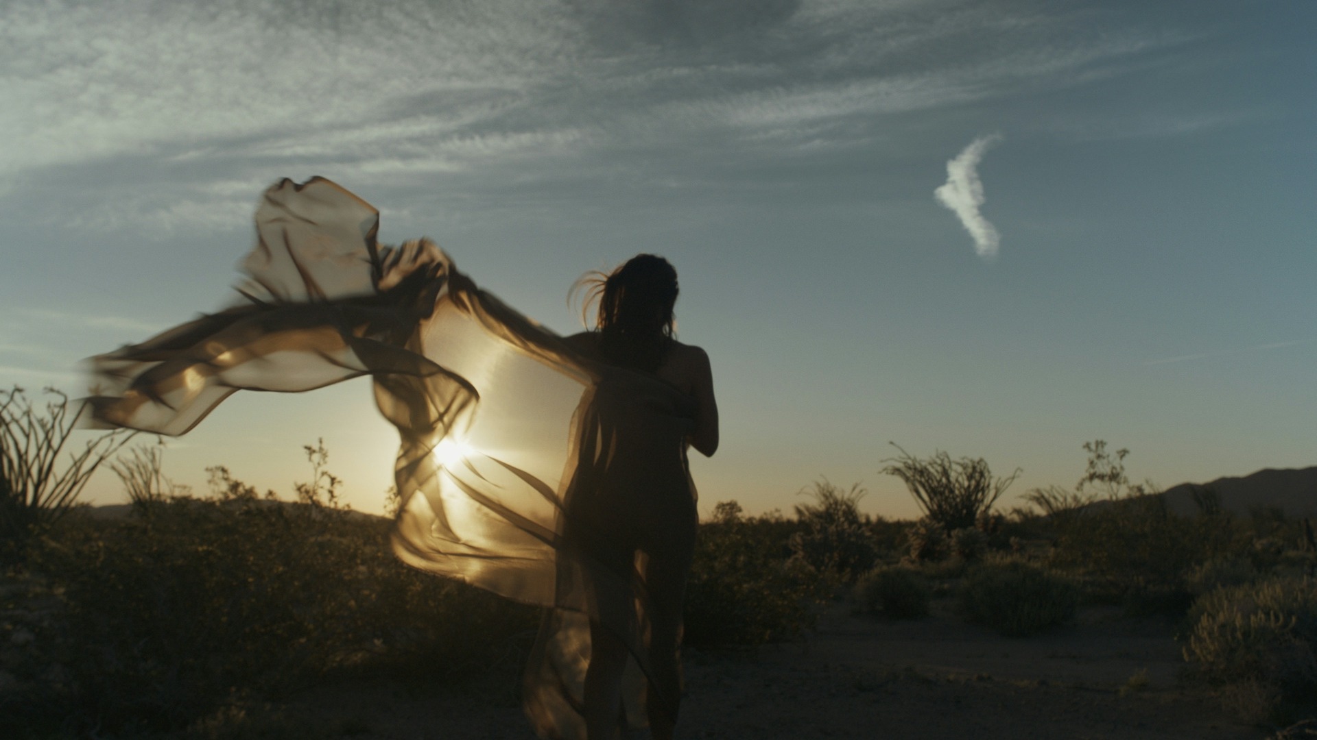 Home - Well by Vertis